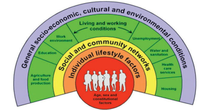 Dahlgren and Whitehead's “Rainbow Model” - The UpStreamBoat
